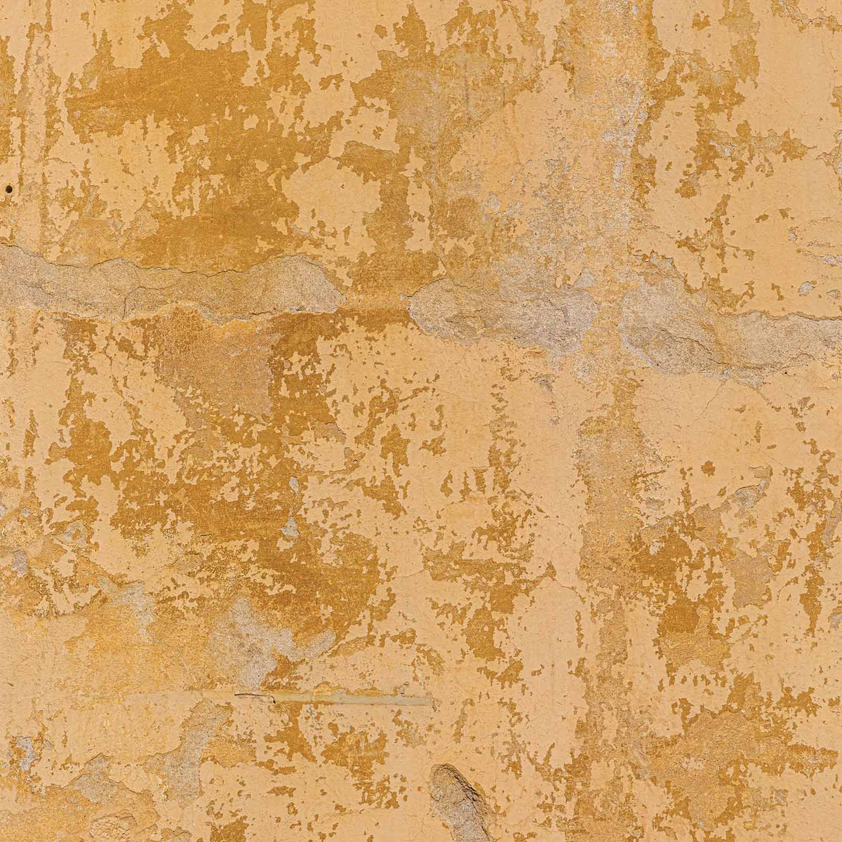 OCRE DORÉ – Photoback